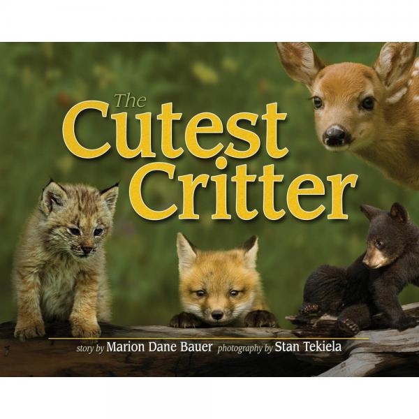 The Cutest Critter – Birds & Beasleys